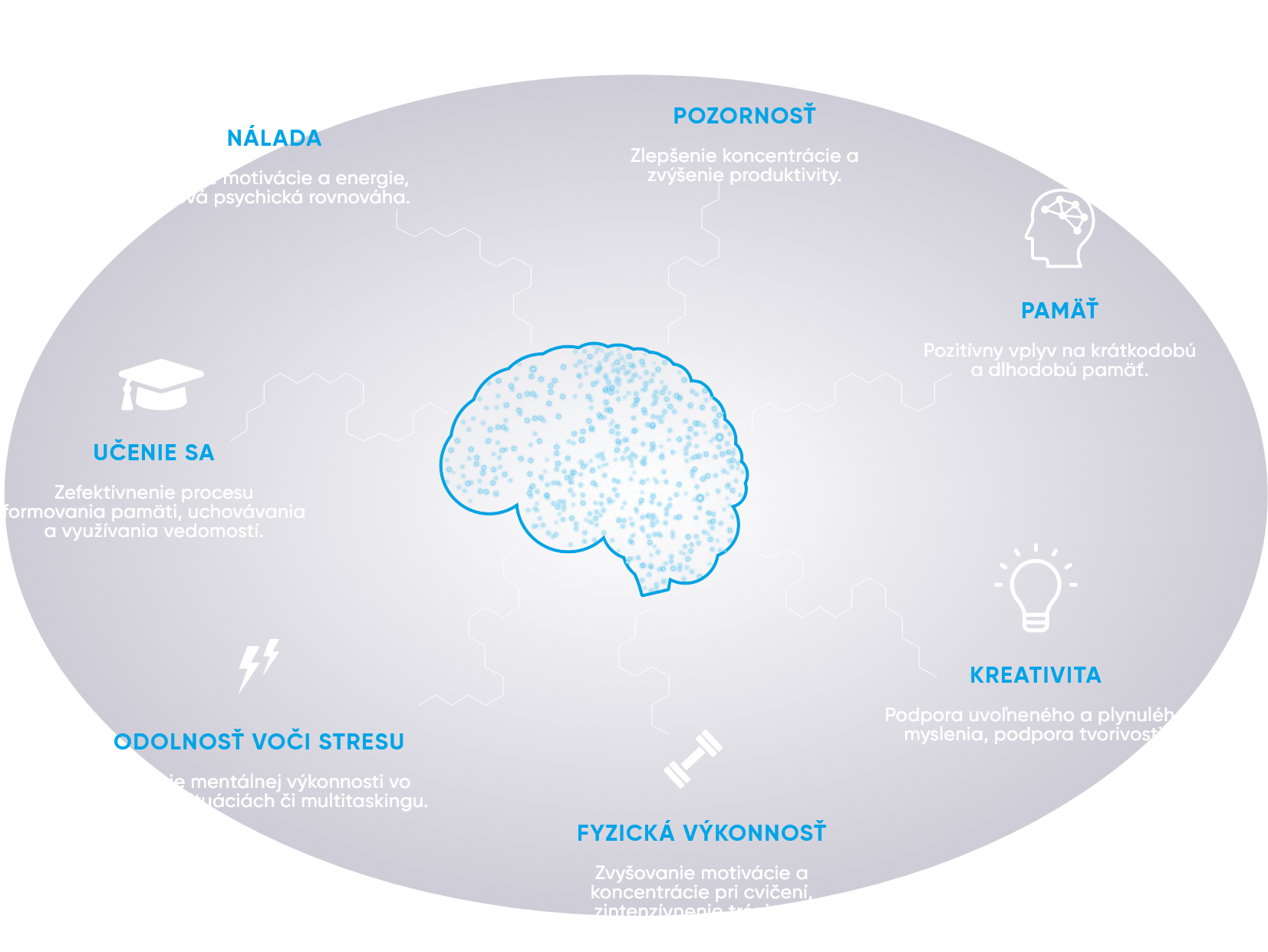Pro Brain – nootropiká stimulujúce kognitívne funkcie mozgu